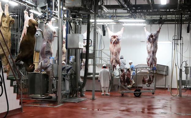 Nueva vida para el Matadero Central | El Comercio