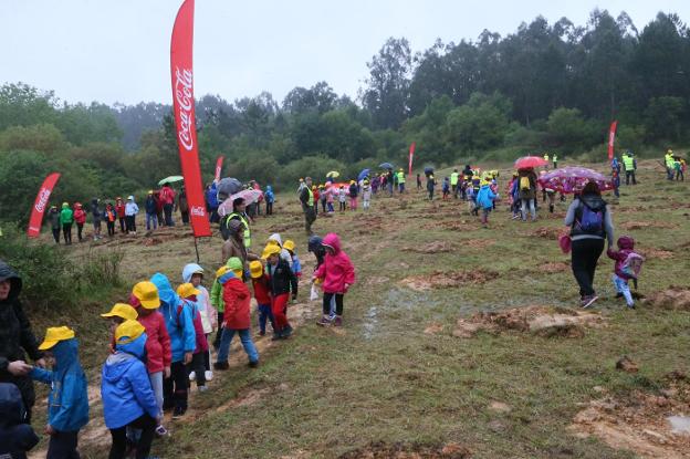 El Principado destina 7,4 millones a proyectos forestales y ... El Principado destina 7,4 millones a proyectos forestales y ...