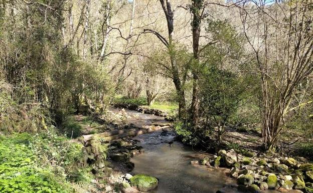 Ruta a la cascada del Nonaya | El Comercio