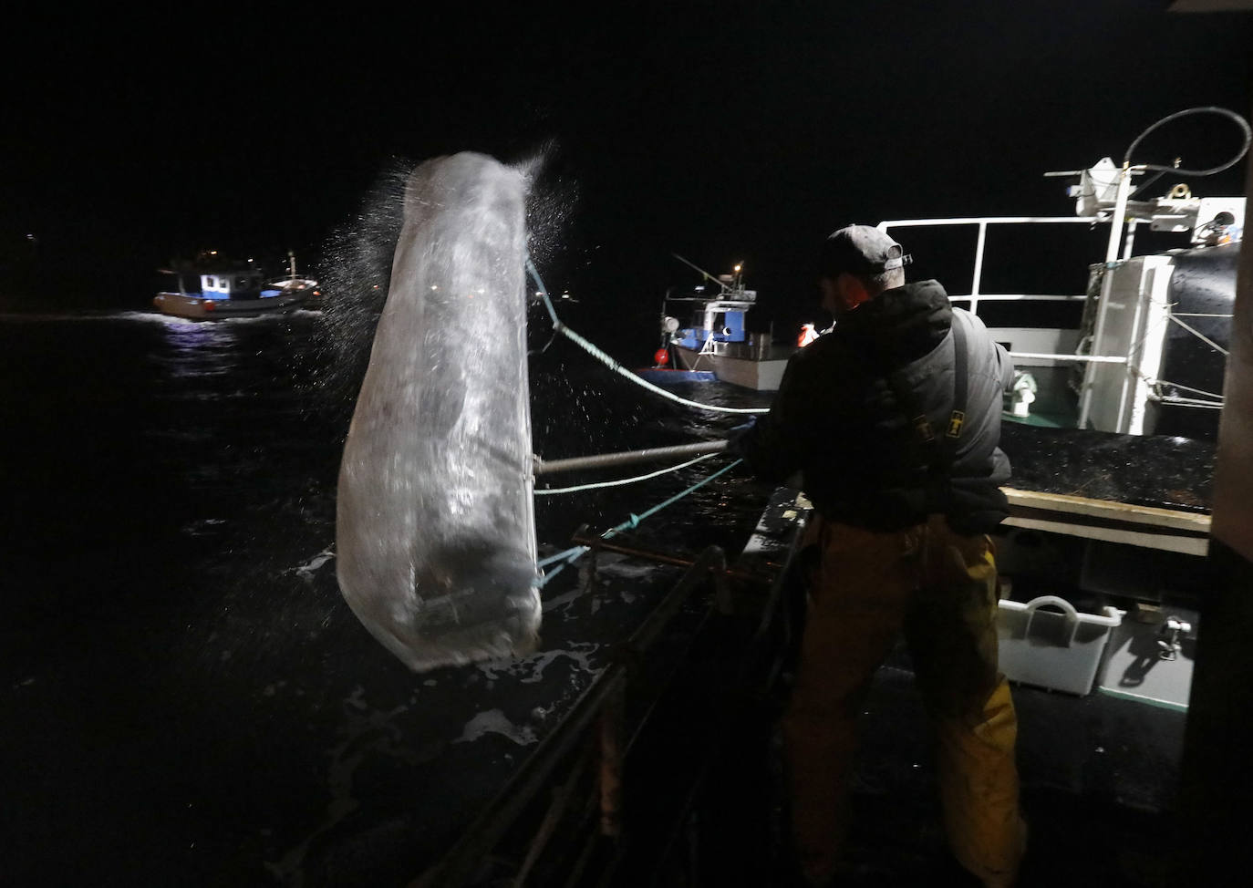 Fotos: Así es la pesca de la angula en Asturias | El Comercio